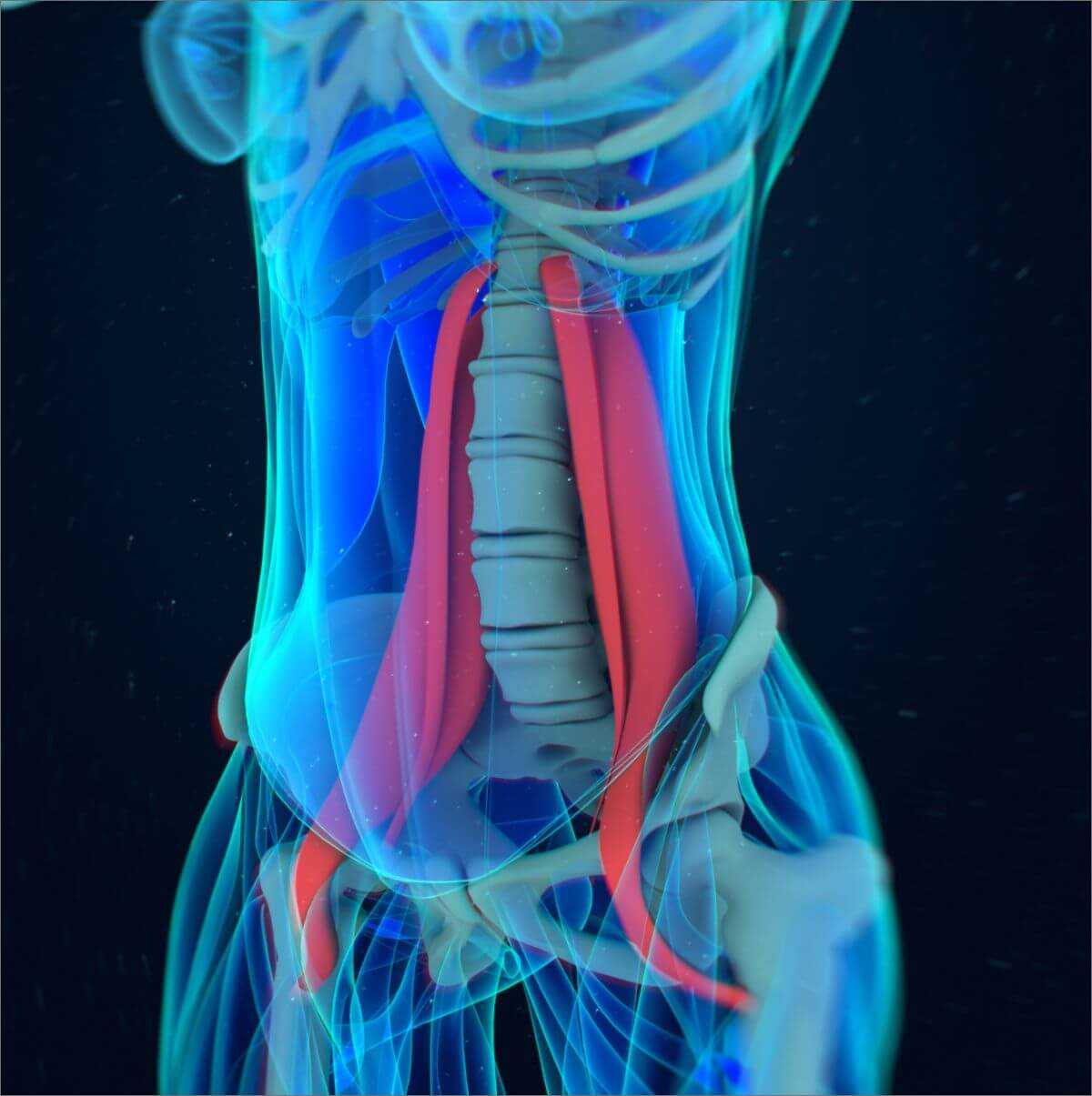 Snapping Hip – Internal - Los Angeles, CA - Dr. Jason Snibbe